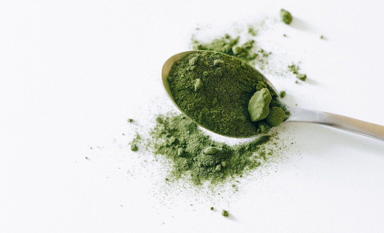 Super Greens Powder – qbitcare