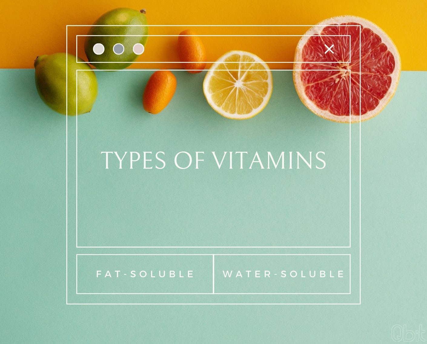 13 Types of Vitamins - From A to K – qbitcare